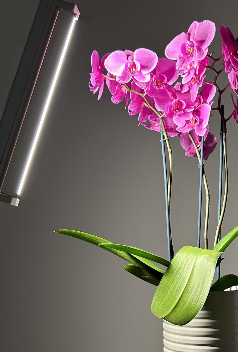 Light for plants, indoor gardens, green walls and biophilic design.