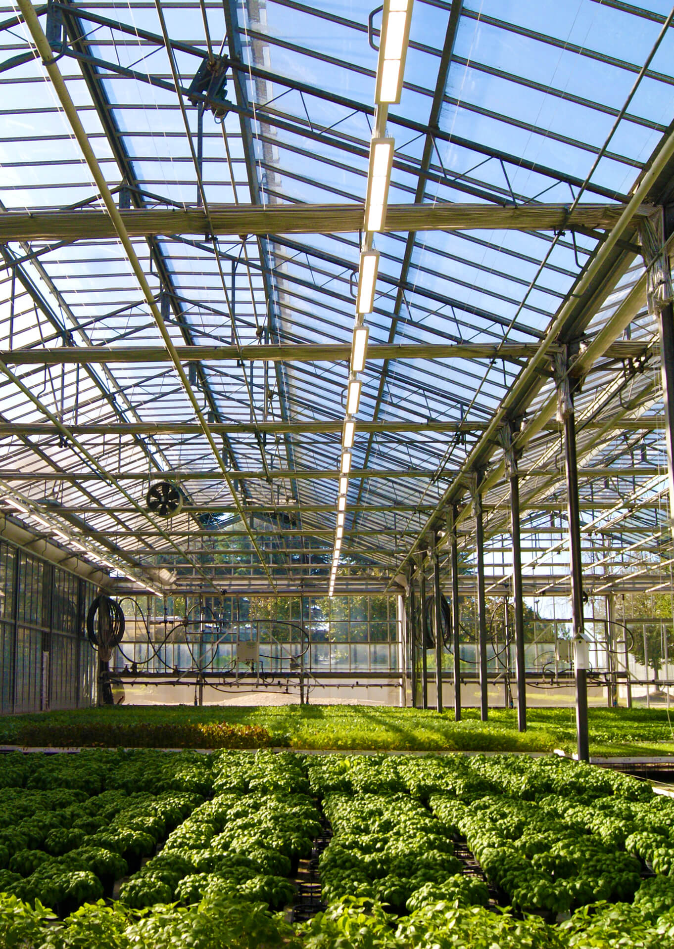 Portfolio | Custom Lighting Projects & Bespoke Solutions