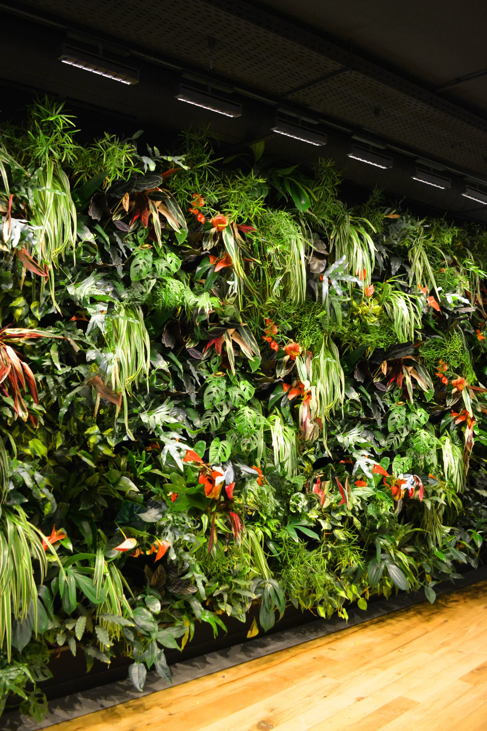 Light for plants, indoor gardens, green walls and biophilic design.