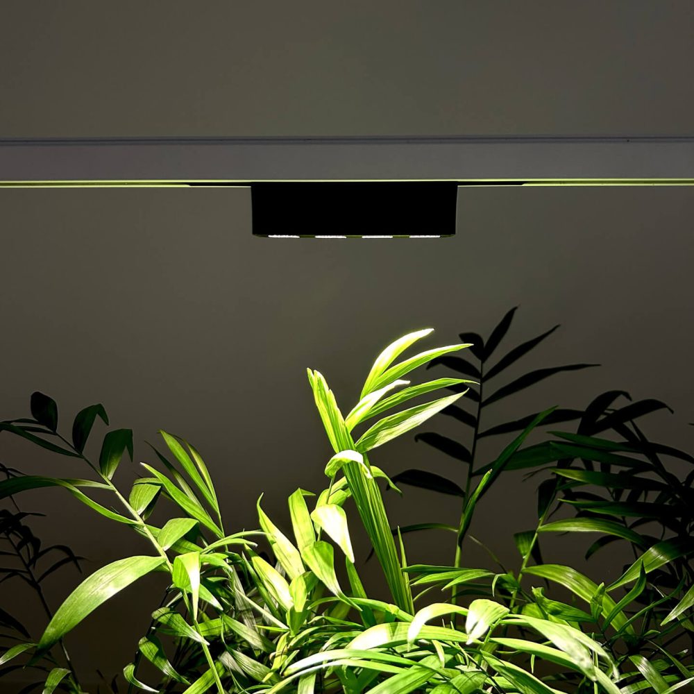 Light for plants, indoor gardens, green walls and biophilic design.