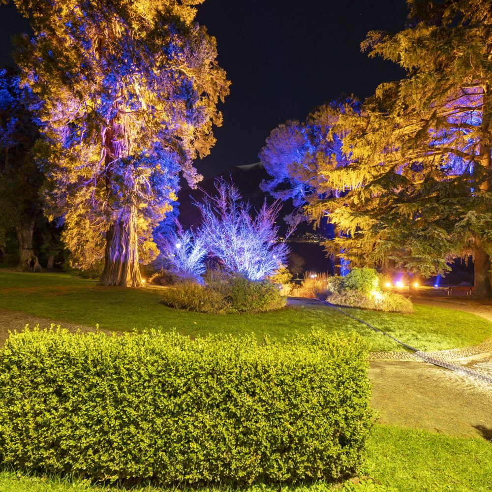 Light for plants, indoor gardens, green walls and biophilic design.